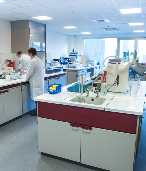 laboratorio_camoco - Camoco Foods